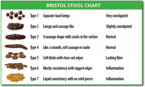 Bowel Movement Chart - Meaning, Picture and Types - Healthhype