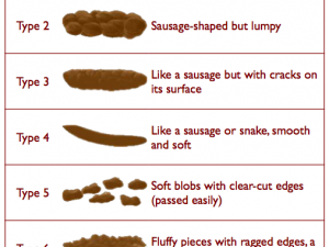 Watery Diarrhea - Causes of Wet, Liquid Stool (Bowel Movement) - Healthhype