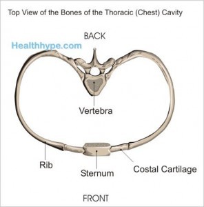 Chest Wall Pain (Muscle, Bone, Skin) Causes of Pain on the Chest ...