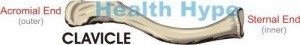 Swollen Clavicle (Collarbone Swelling) Causes and Symptoms - Healthhype