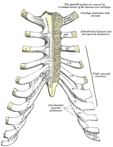 What is Costochondritis? Pain in Rib-Sternum Cartilage - Healthhype