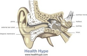 Abnormal Ear Sounds - Causes and Why It Happens - Healthhype