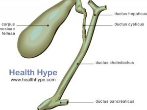 Gallbladder Mucocele (Hydrops) - Healthhype