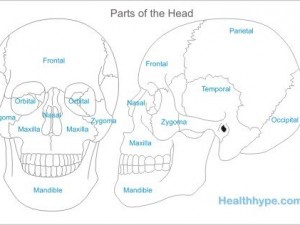 Frontal Headache - Causes Pain in Front of Head (Above Eyes) - Healthhype