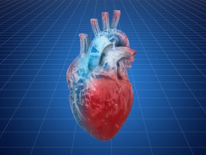 Fluttering Heart Meaning, Causes, Symptoms and Treatment - Healthhype