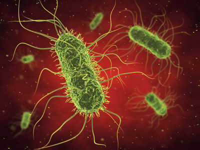 Superbug Infection, Symptoms, Dangers and Prevention - Healthhype