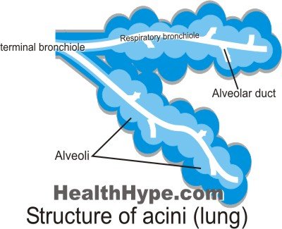 Coal Worker’s Pneumoconiosis (Black Lung Disease, Coal Dust Inhalation ...