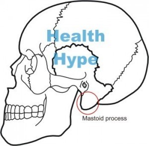 Mastoiditis (Back of the Skull Bone Infection) - Healthhype