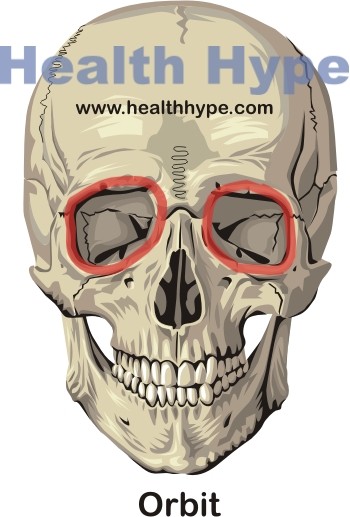 The Human Eye (Eyeball) Diagram, Parts and Pictures - Healthhype
