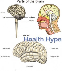 Brain Abscess Location, Causes and Symptoms - Healthhype