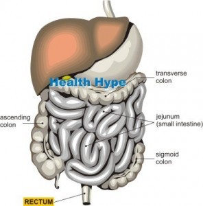 Rectal Pain in Men and Women, Causes and Symptoms - Healthhype