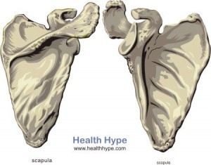 Scapula Pain, Causes of Pain in the Shoulder Blade - Healthhype