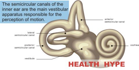 Motion Sickness (Land, Air and Sea Travel Sickness) - Healthhype