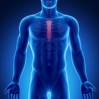 Sternum Lumps and Causes of Breastbone Swelling - Healthhype