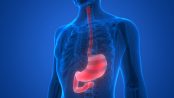 Beating Stomach Feeling - Causes and Other Symptoms - Healthhype