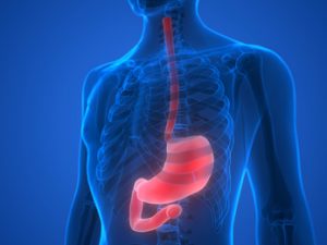 Stomach Blockage - Location, Symptoms and Causes - Healthhype