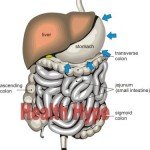 Stomach Pressure and Causes of Pressing on Stomach Feeling - Healthhype