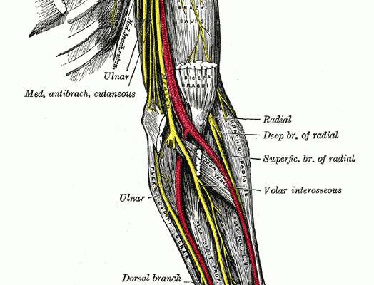 Cubital Tunnel Syndrome (Elbow Ulnar Nerve Entrapment) - Healthhype
