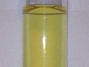 Oliguria and Anuria vs Nocturia Meaning and Causes - Healthhype